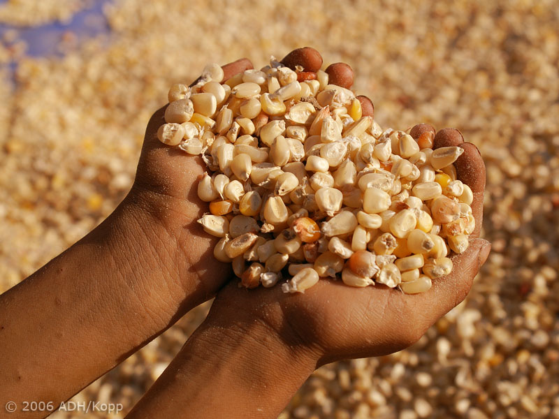 Hungersnöte: Die Ursachen des Hungers. Aktion Deutschland Hilft