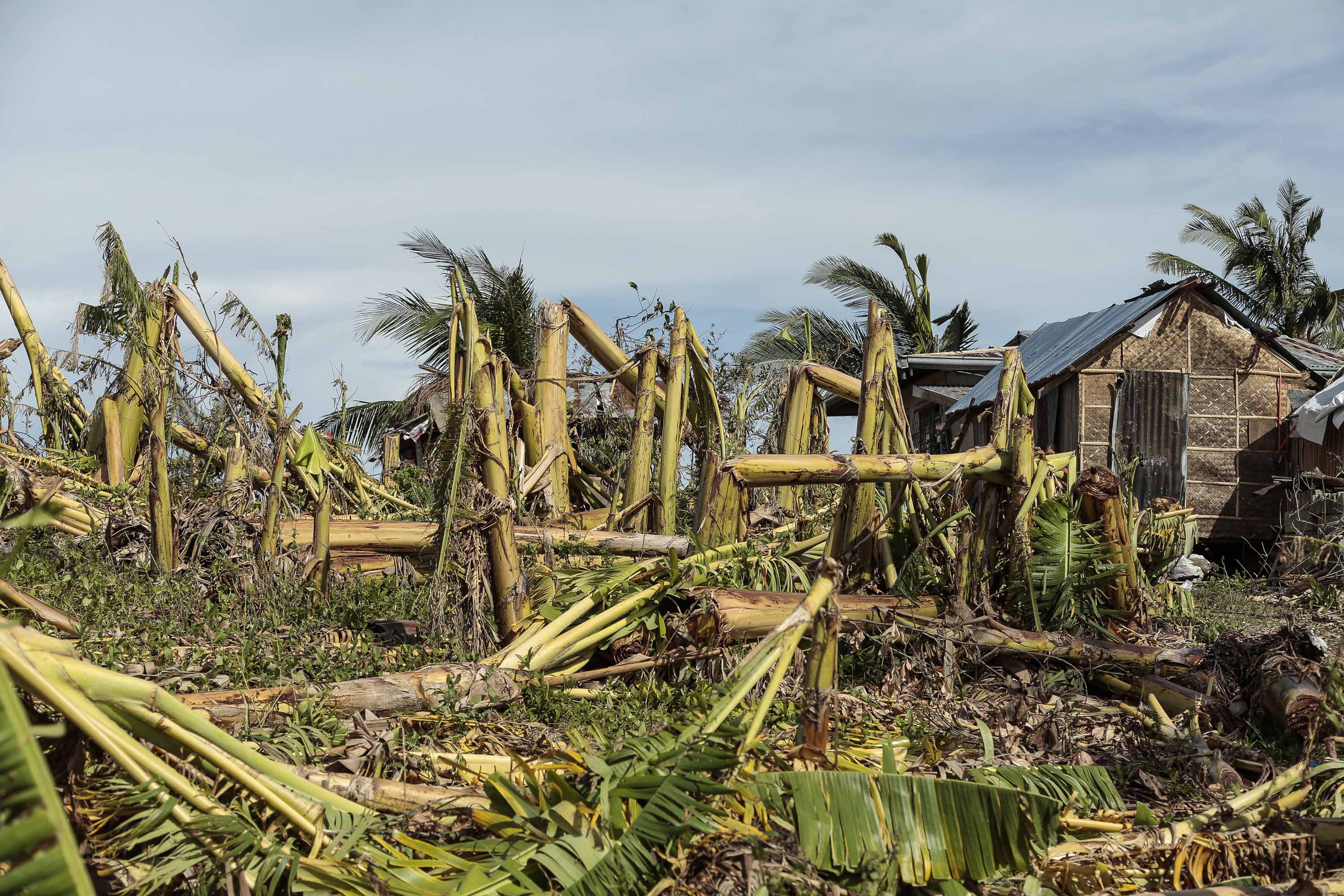 Klimawandel: Katastrophen durch... Aktion Deutschland Hilft